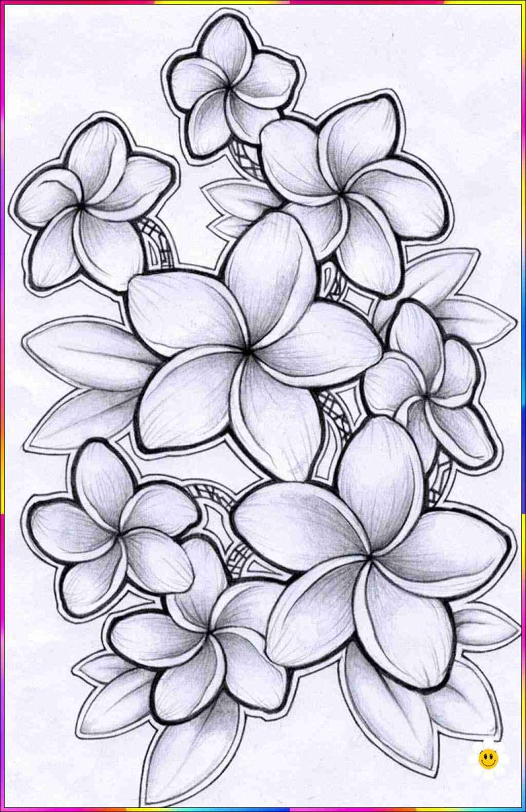 300 Best Easy Flower Drawings Flower Drawing
