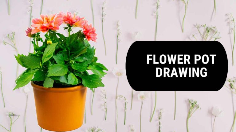 50+ Flower Pot Drawing Images & Pictures » Flower Drawing