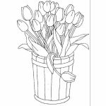 50+ Flower Pot Drawing Images & Pictures » Flower Drawing