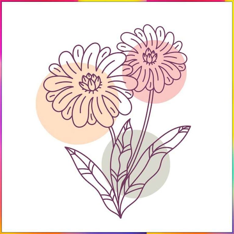 35 Easy Aster Flower Drawing » Flower Drawing