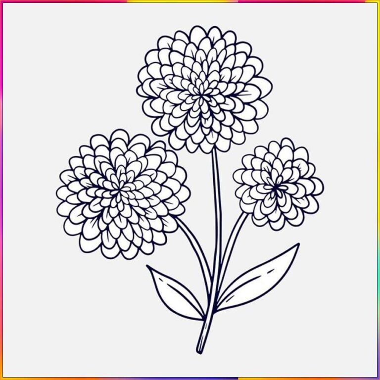 35 Easy Aster Flower Drawing » Flower Drawing