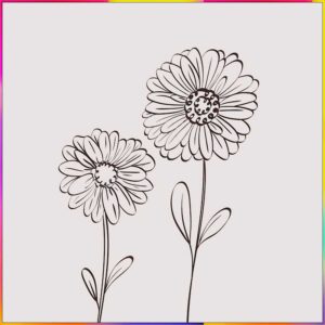 35 Easy Aster Flower Drawing » Flower Drawing