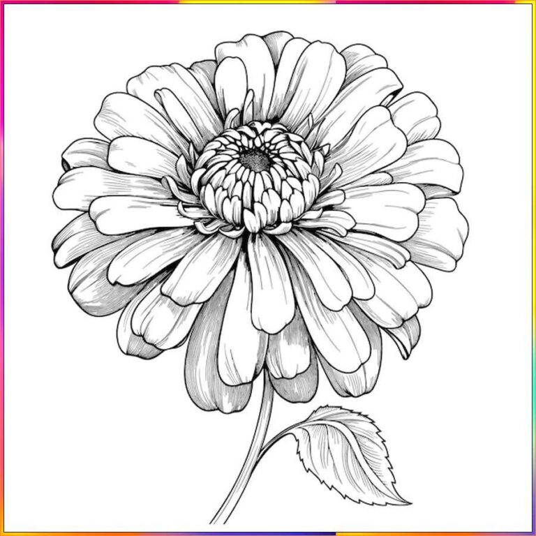 35 Easy Aster Flower Drawing » Flower Drawing