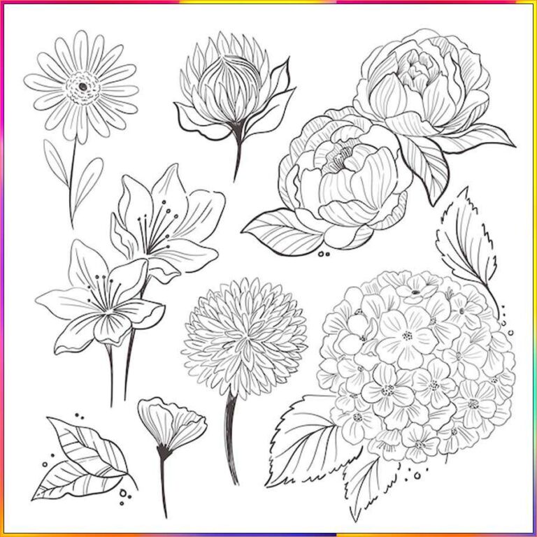 35 Easy Aster Flower Drawing » Flower Drawing