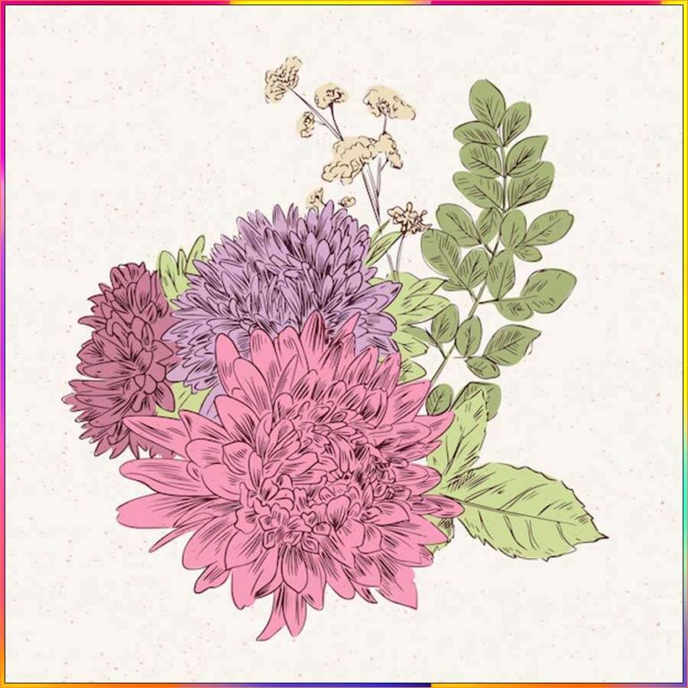 35 Easy Aster Flower Drawing » Flower Drawing