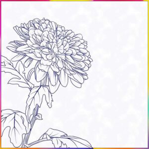 35 Easy Aster Flower Drawing » Flower Drawing