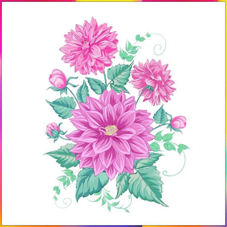 35 Easy Aster Flower Drawing » Flower Drawing