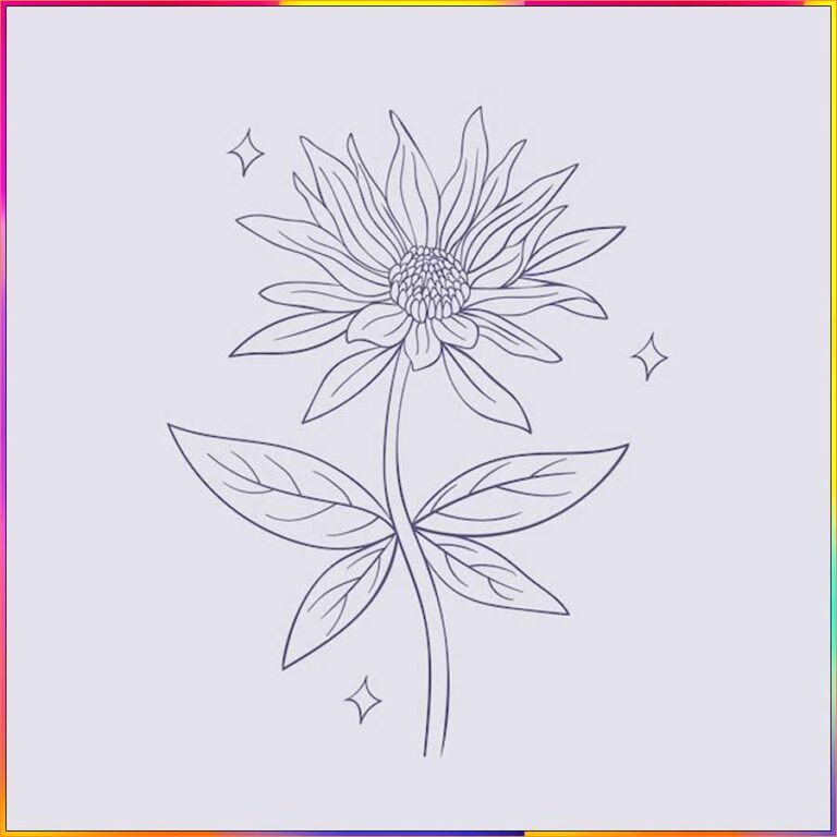 35 Easy Aster Flower Drawing » Flower Drawing