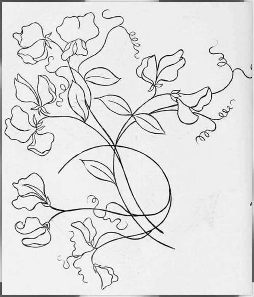 40+ Sweet Pea Flower Drawing » Flower Drawing