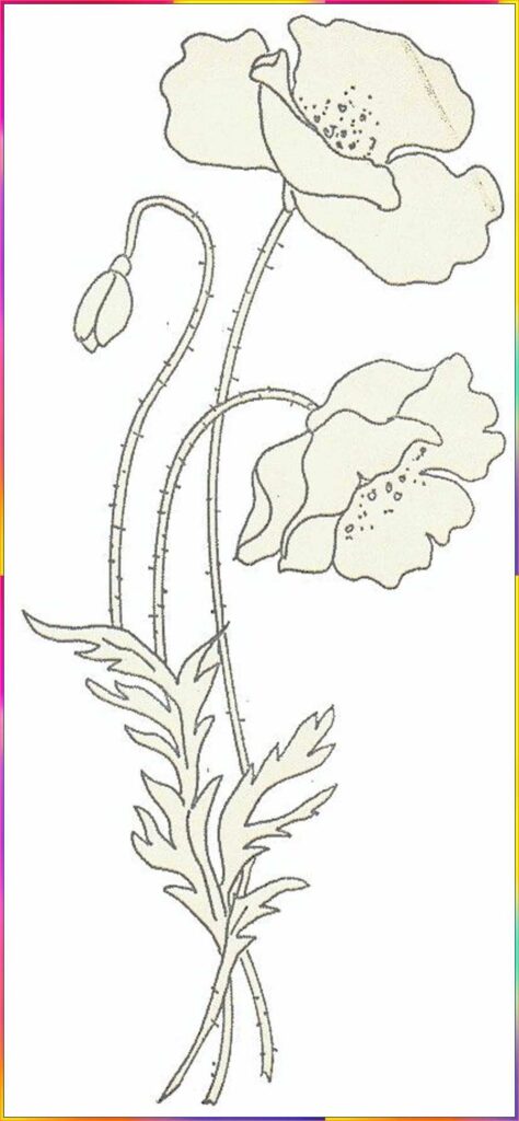 40+ Sweet Pea Flower Drawing » Flower Drawing