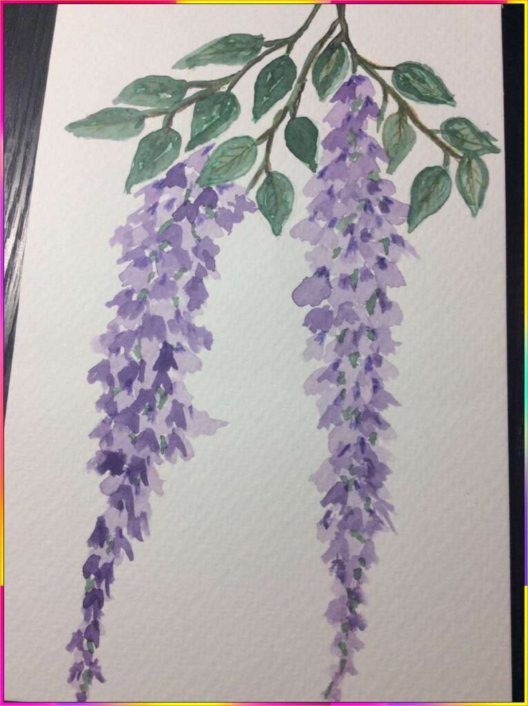 50+ Wisteria Flower Drawings » Flower Drawing